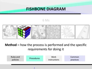Fishbone Diagram - Step by Step with clear details.pptx