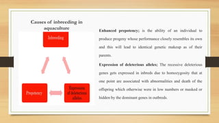 Fish breeding and biotechnology in aquaculture.pptx