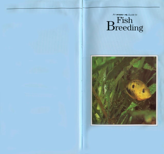 Fish breeding by dr chris andrews | PDF