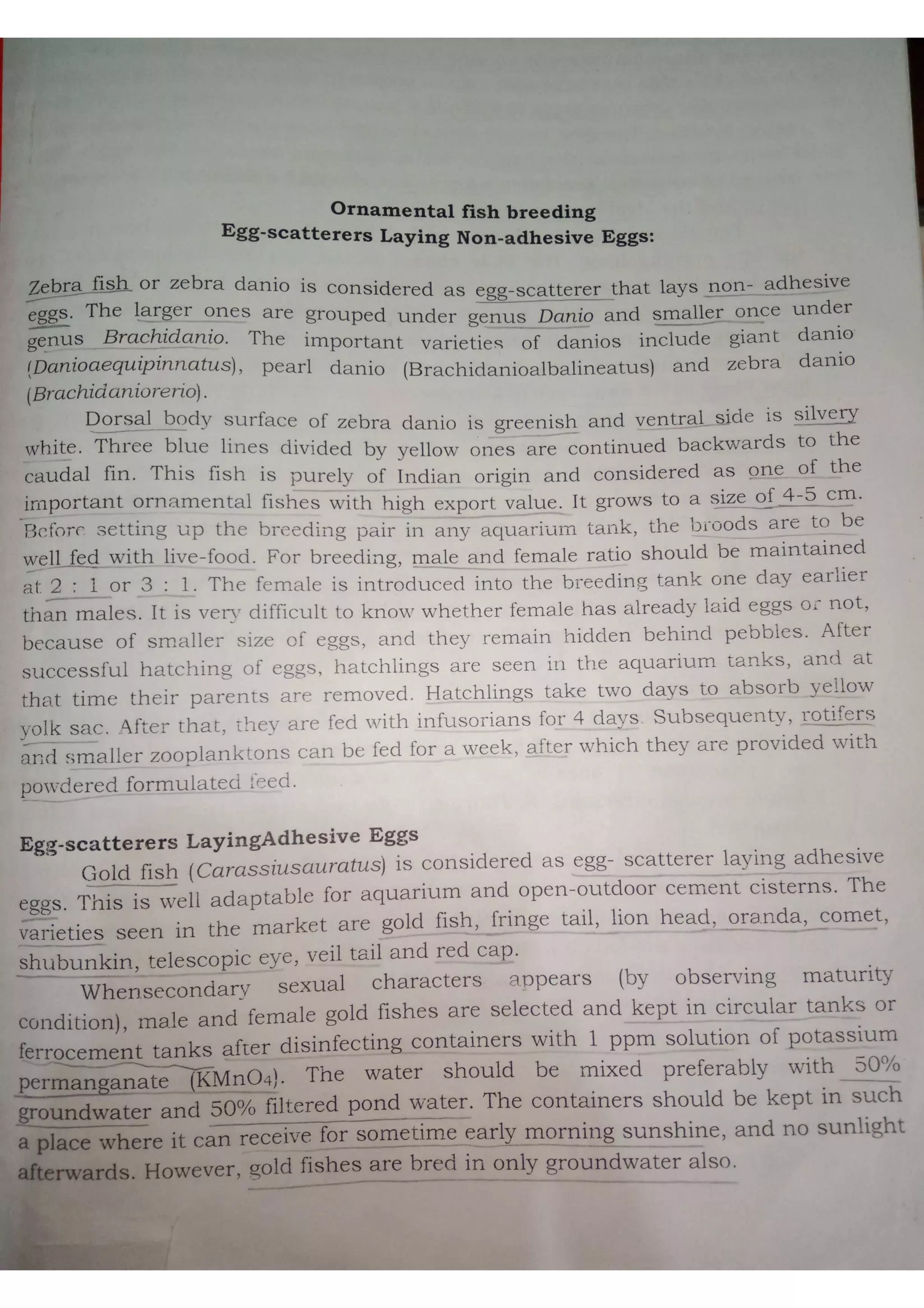 ORNAMENTAL FISH BREEDING OF EGG LAYING | PDF