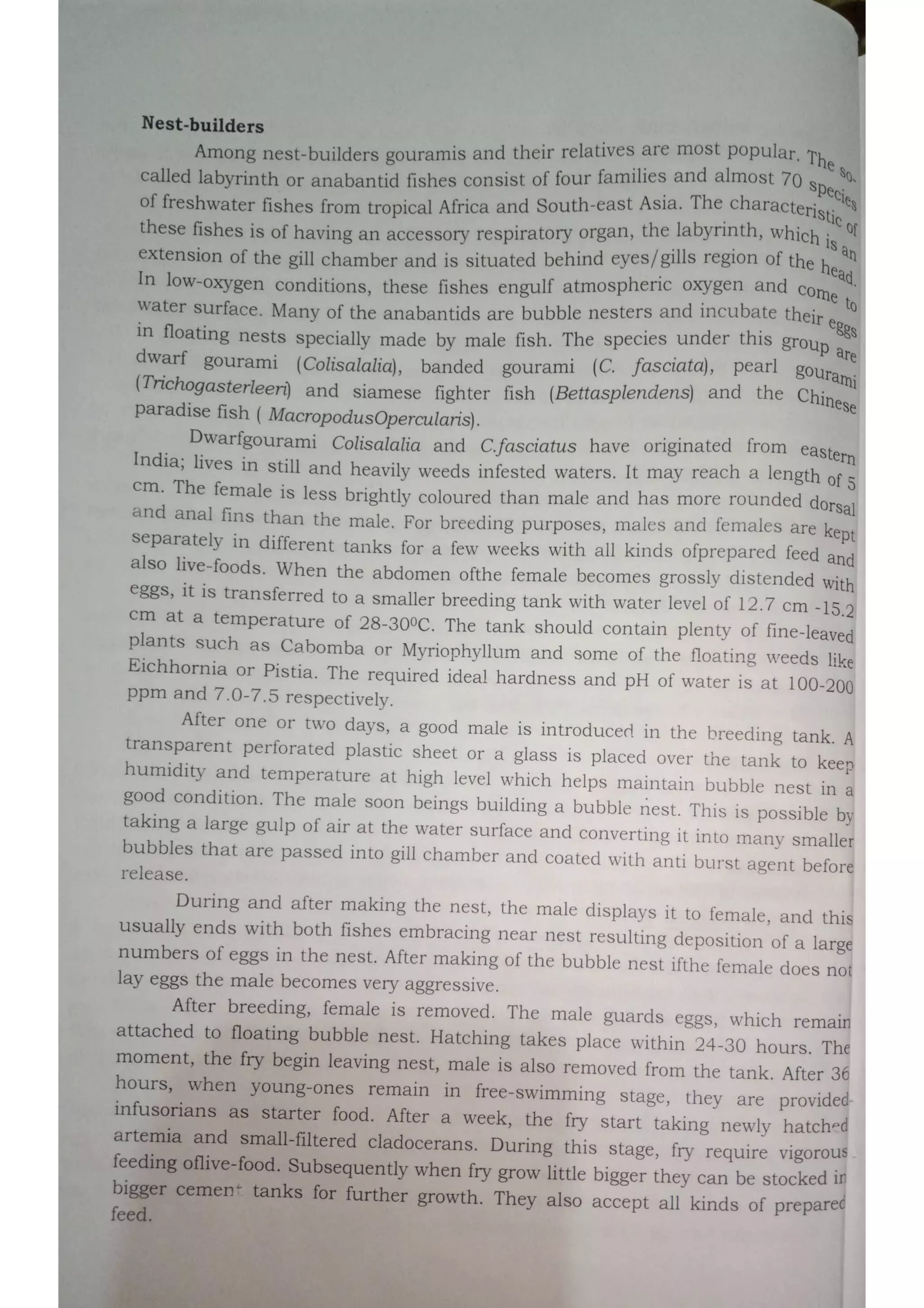 ORNAMENTAL FISH BREEDING OF EGG LAYING | PDF