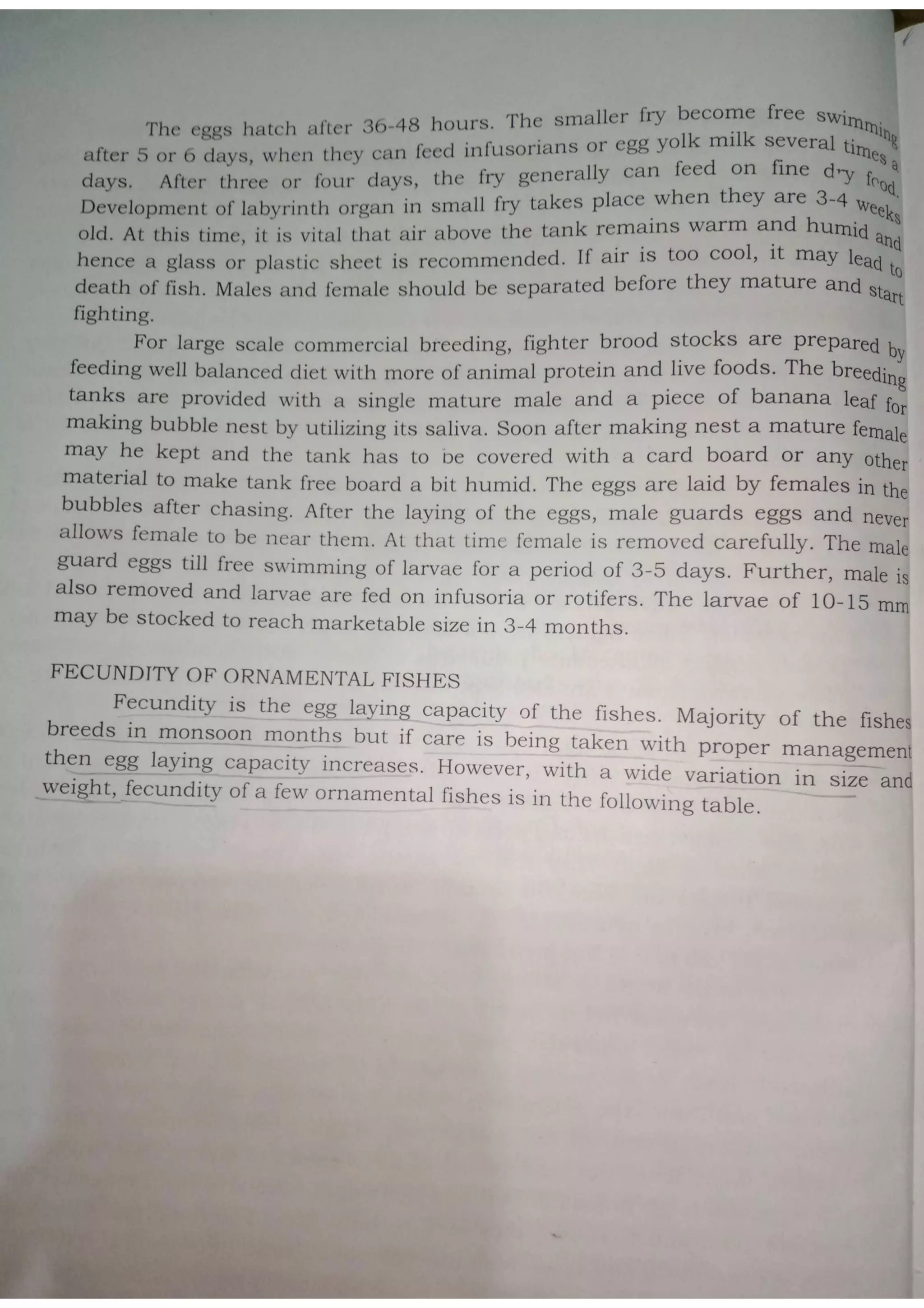 ORNAMENTAL FISH BREEDING OF EGG LAYING | PDF
