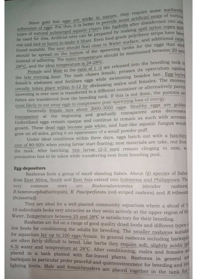 ORNAMENTAL FISH BREEDING OF EGG LAYING | PDF