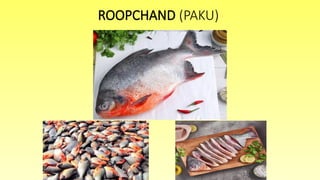 Fish Breeds and its characterstics (1).pptx