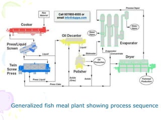 Fish By-products | PPTX