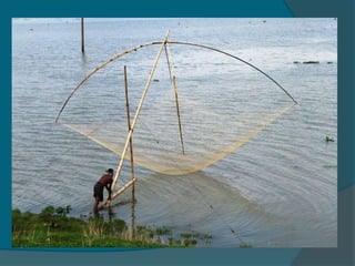 Fish capture | PPTX