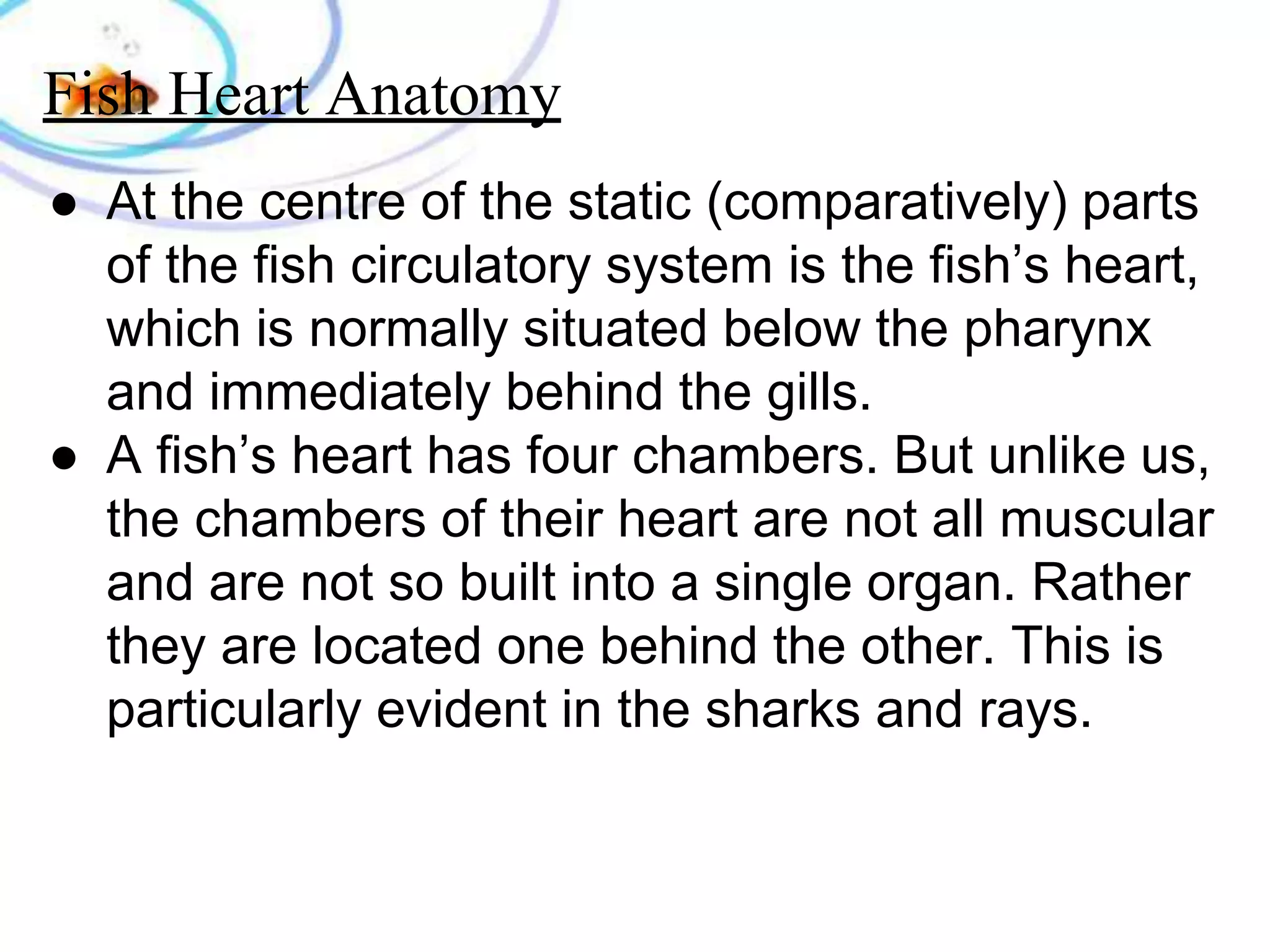 Fish Circulatory System by uzma nihar | PPTX