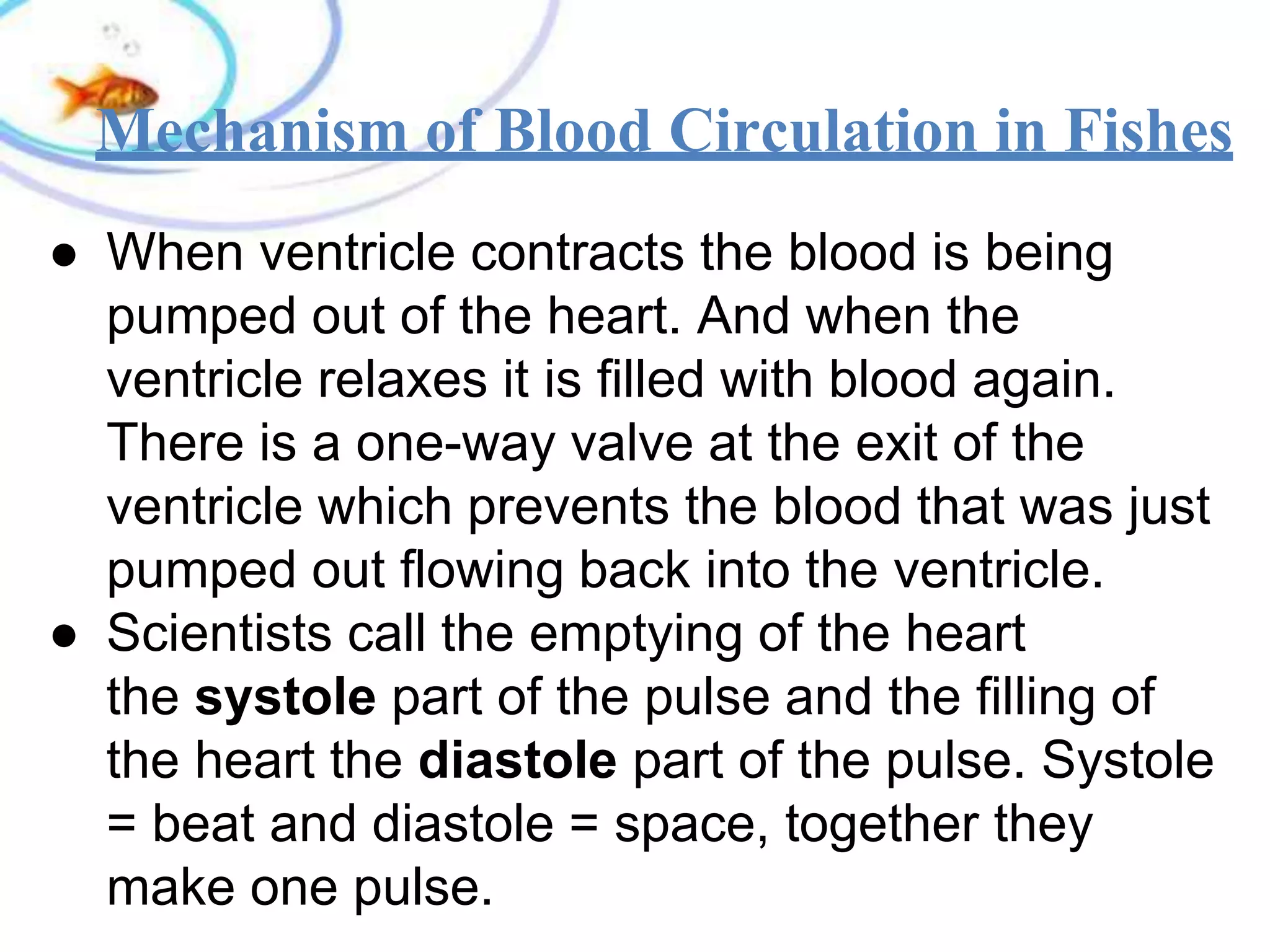 Fish Circulatory System by uzma nihar | PPTX