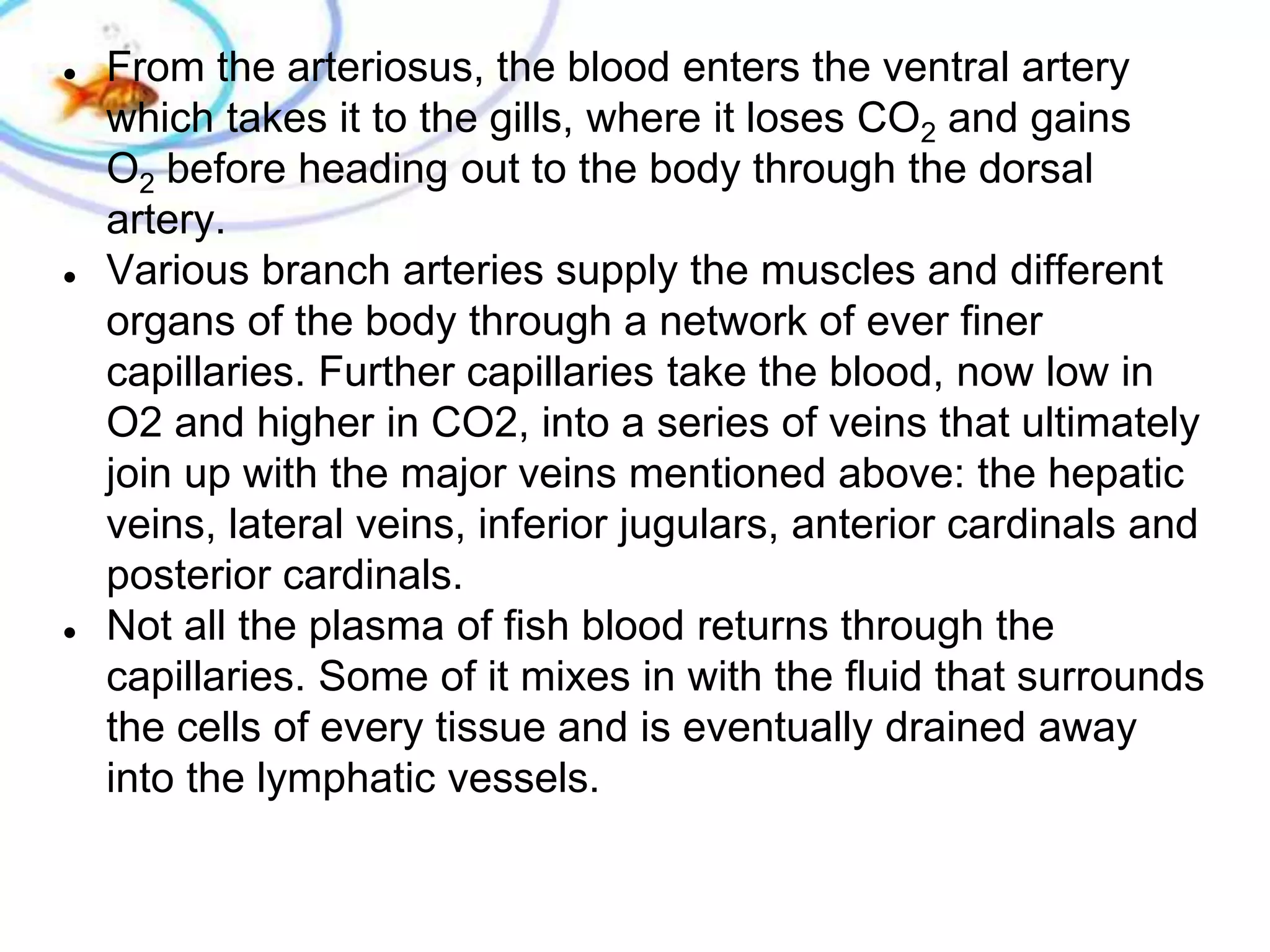 Fish Circulatory System by uzma nihar | PPTX