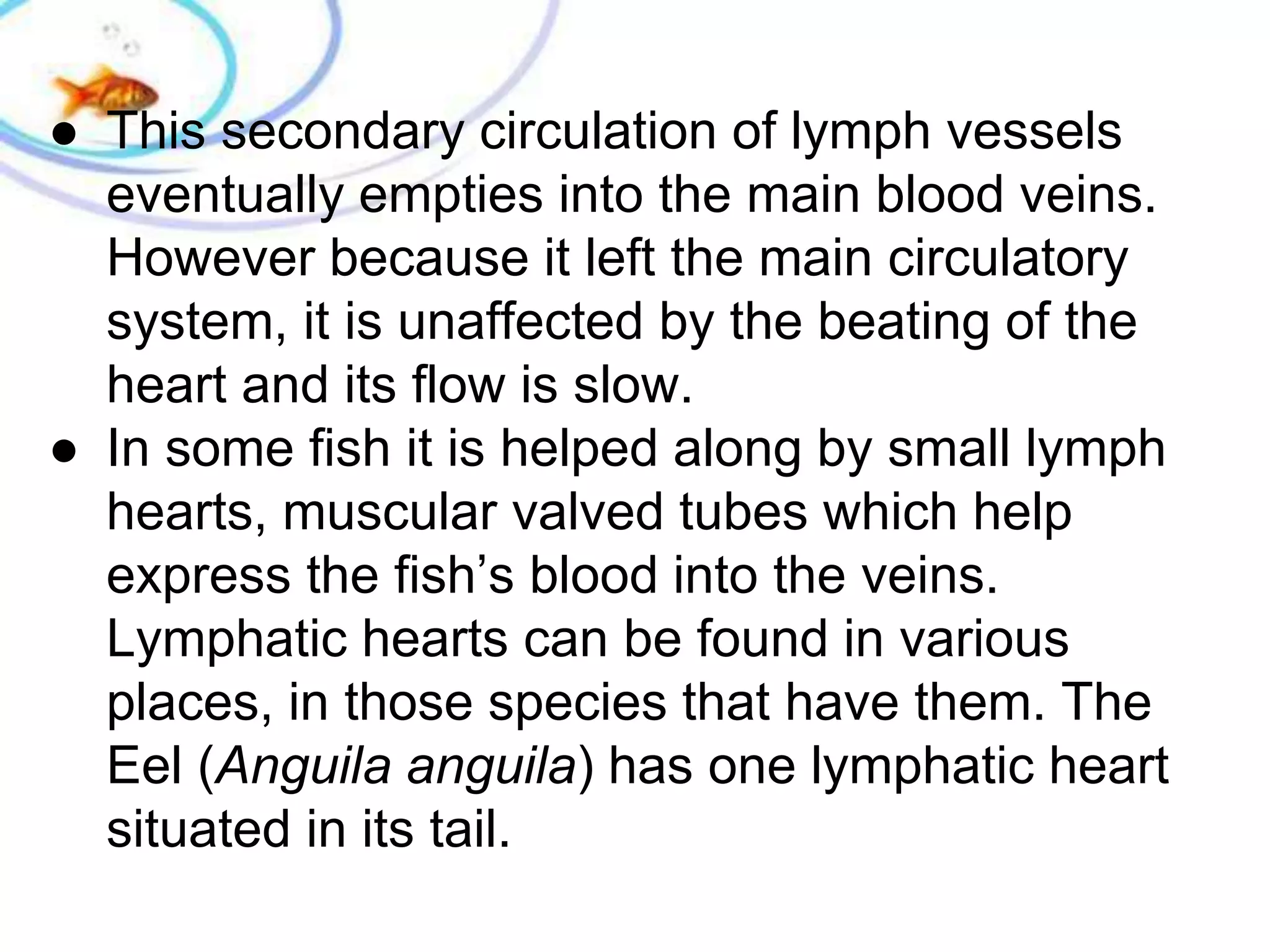 Fish Circulatory System by uzma nihar | PPTX