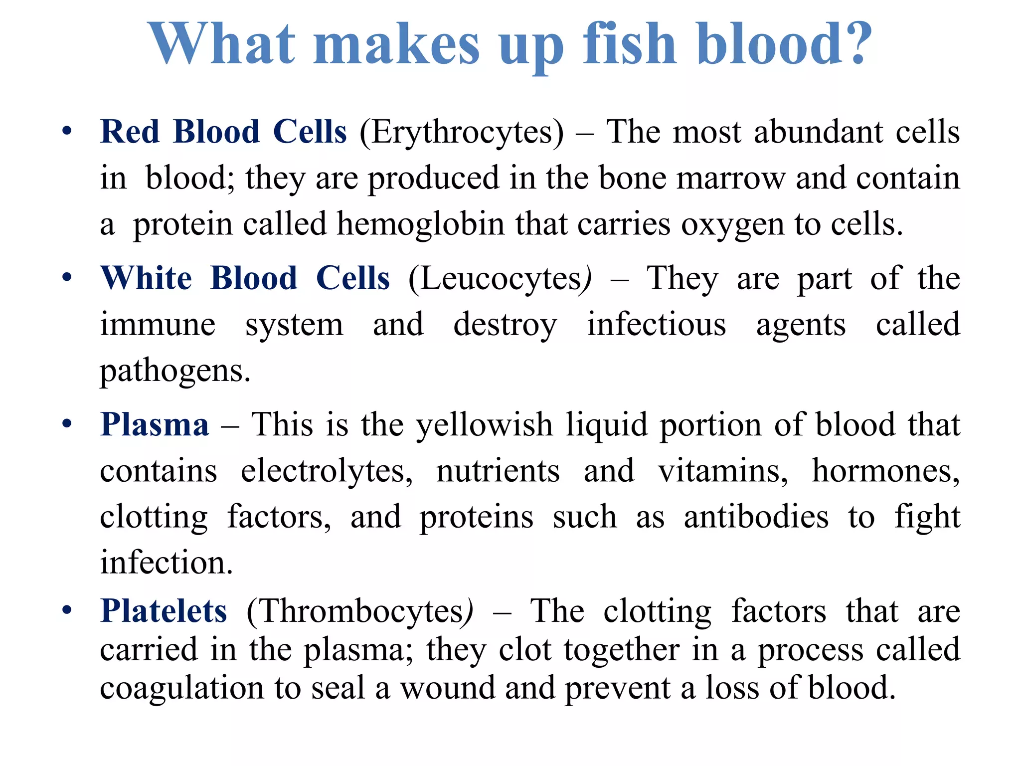 Fish Circulatory System by uzma nihar | PPTX