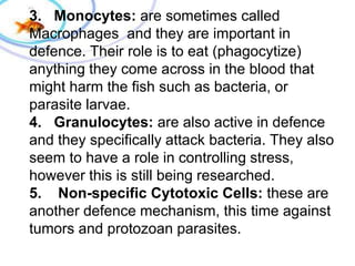 Fish Circulatory System by uzma nihar | PPTX