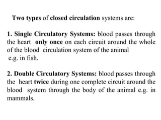 Fish Circulatory System by uzma nihar | PPTX