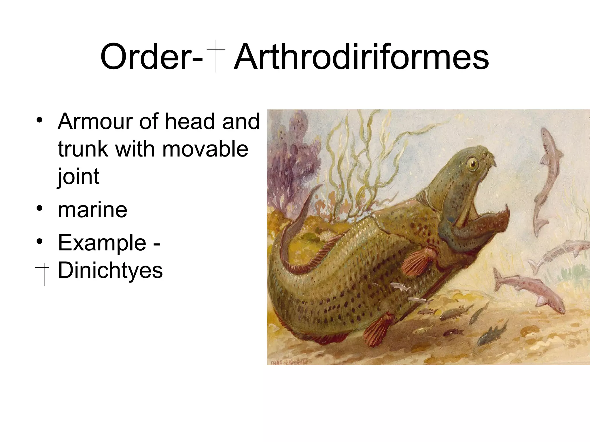 Fish classification by deepak rawal | PPT