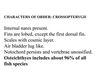 Fish classification | PPTX