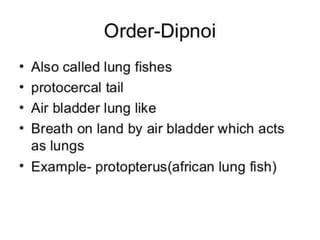 Fish classification | PPTX