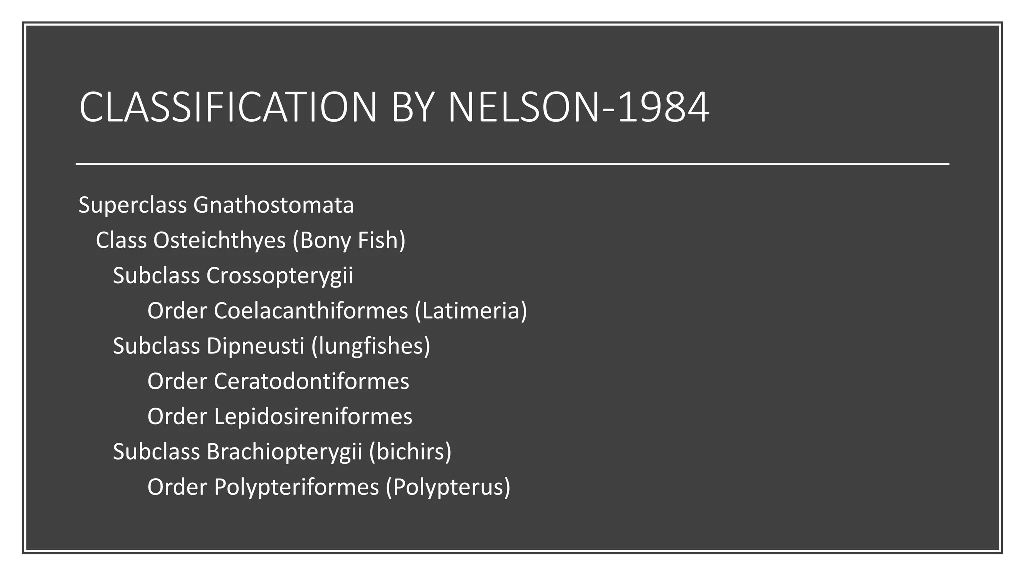 Fish classification | PPTX