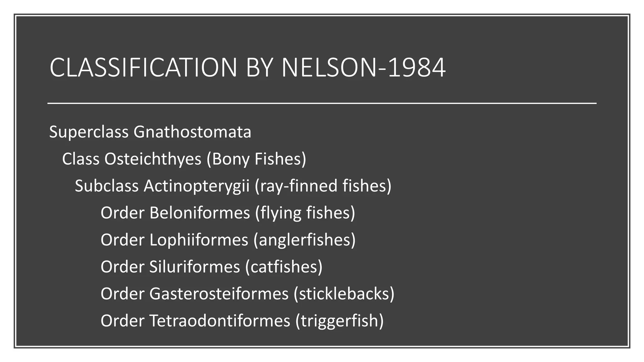 Fish classification | PPTX