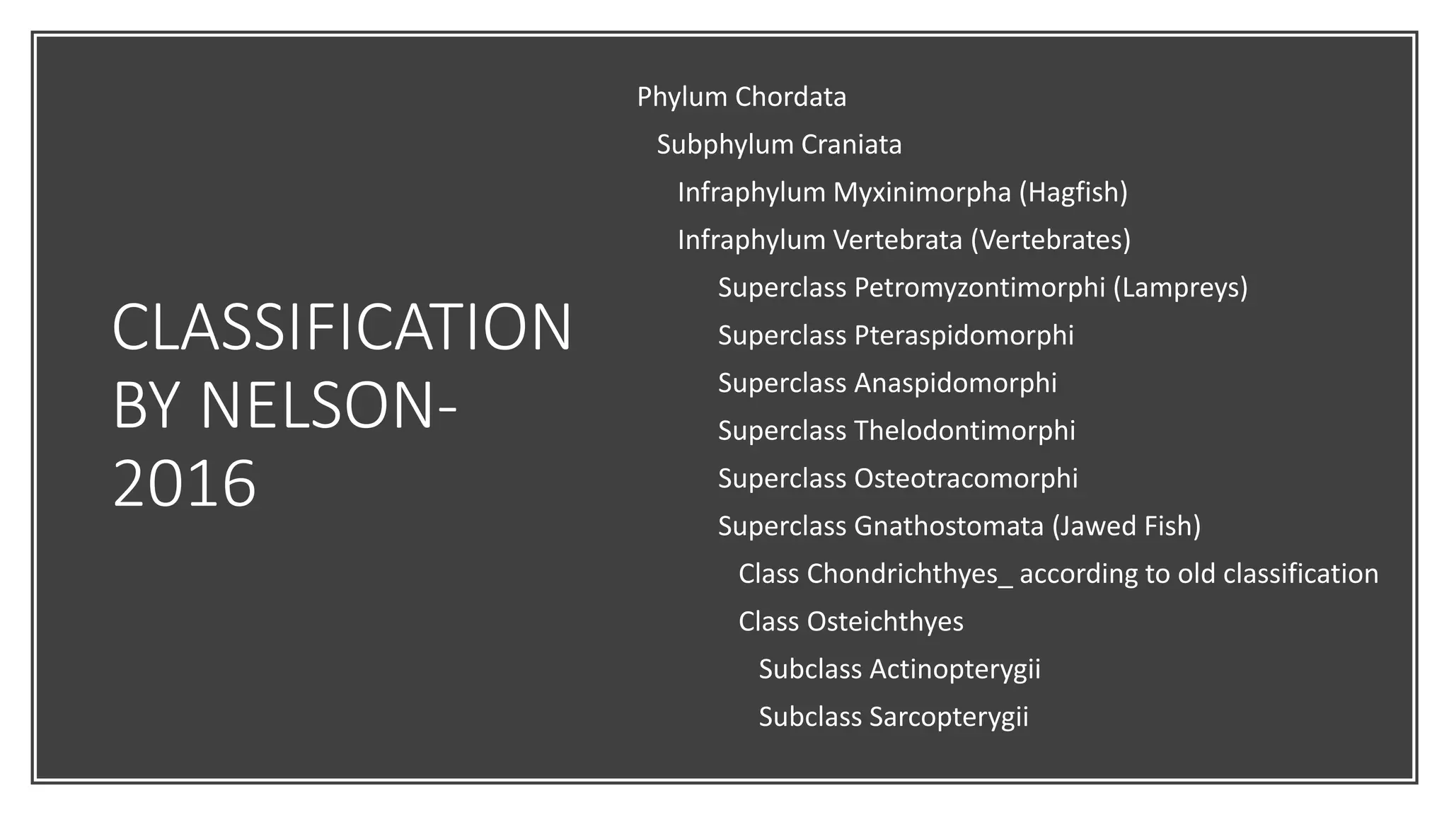 Fish classification | PPTX
