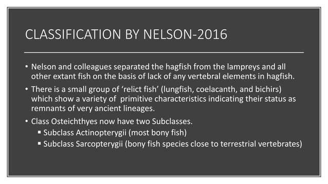 Fish classification | PPTX