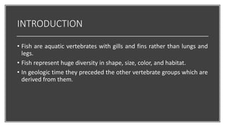 Fish classification | PPTX