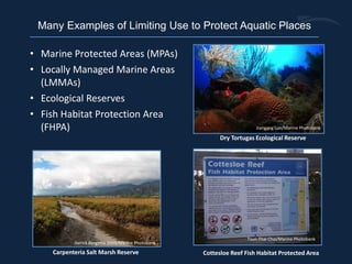 Fish conservation zones as tools for fisheries management and ...