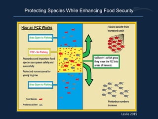 Fish conservation zones as tools for fisheries management and ...