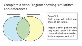 fish cultivation.pptx_The phases of fish culture | PPTX