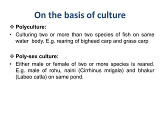fish culture.pdf