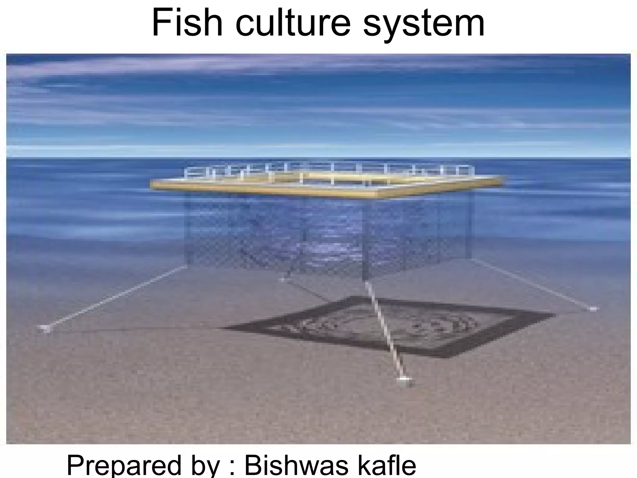 Fish culture system | PPT