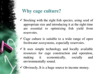 Fish culture system | PPT