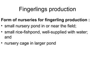 Fish culture system | PPT
