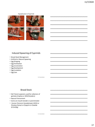 Fish culture zool4140 (dr. samee) handout | PDF