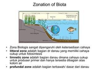 FISH dan PRODUKTIVITAS PERAIRAN.pdf