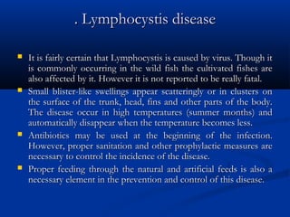 Fish disease | PPT
