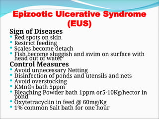 Fish disease and Control by student of B.Sc.ppt