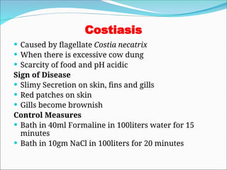 Fish disease and Control by student of B.Sc.ppt