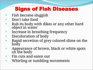Fish disease and Control by student of B.Sc.ppt