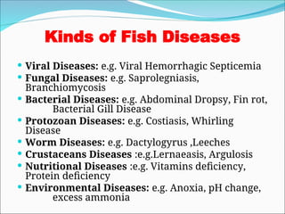 Fish disease and Control by student of B.Sc.ppt