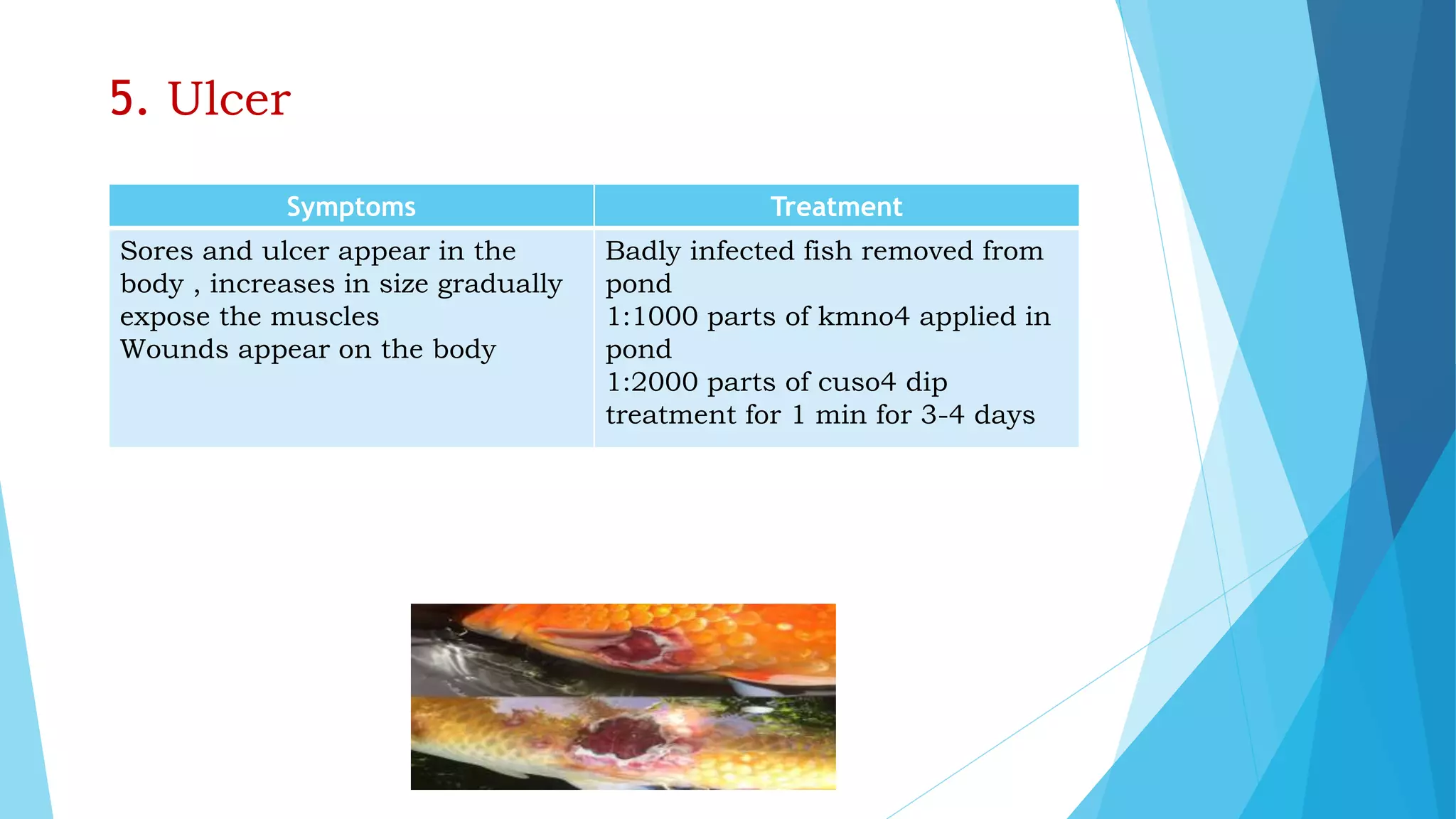 fish disease and treatment | PPTX