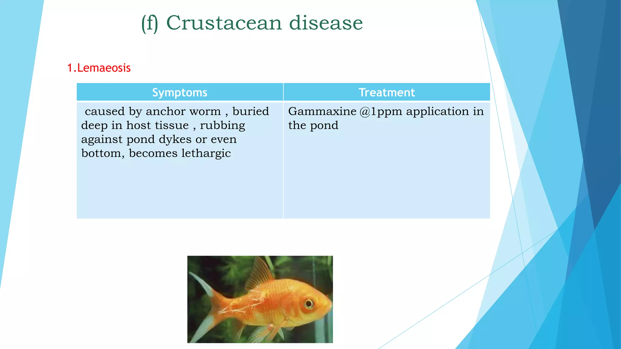 fish disease and treatment | PPTX