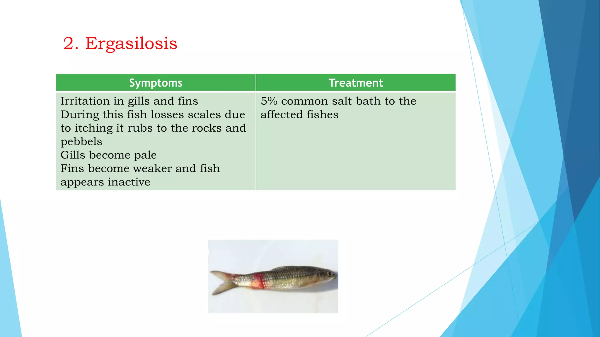 fish disease and treatment | PPTX
