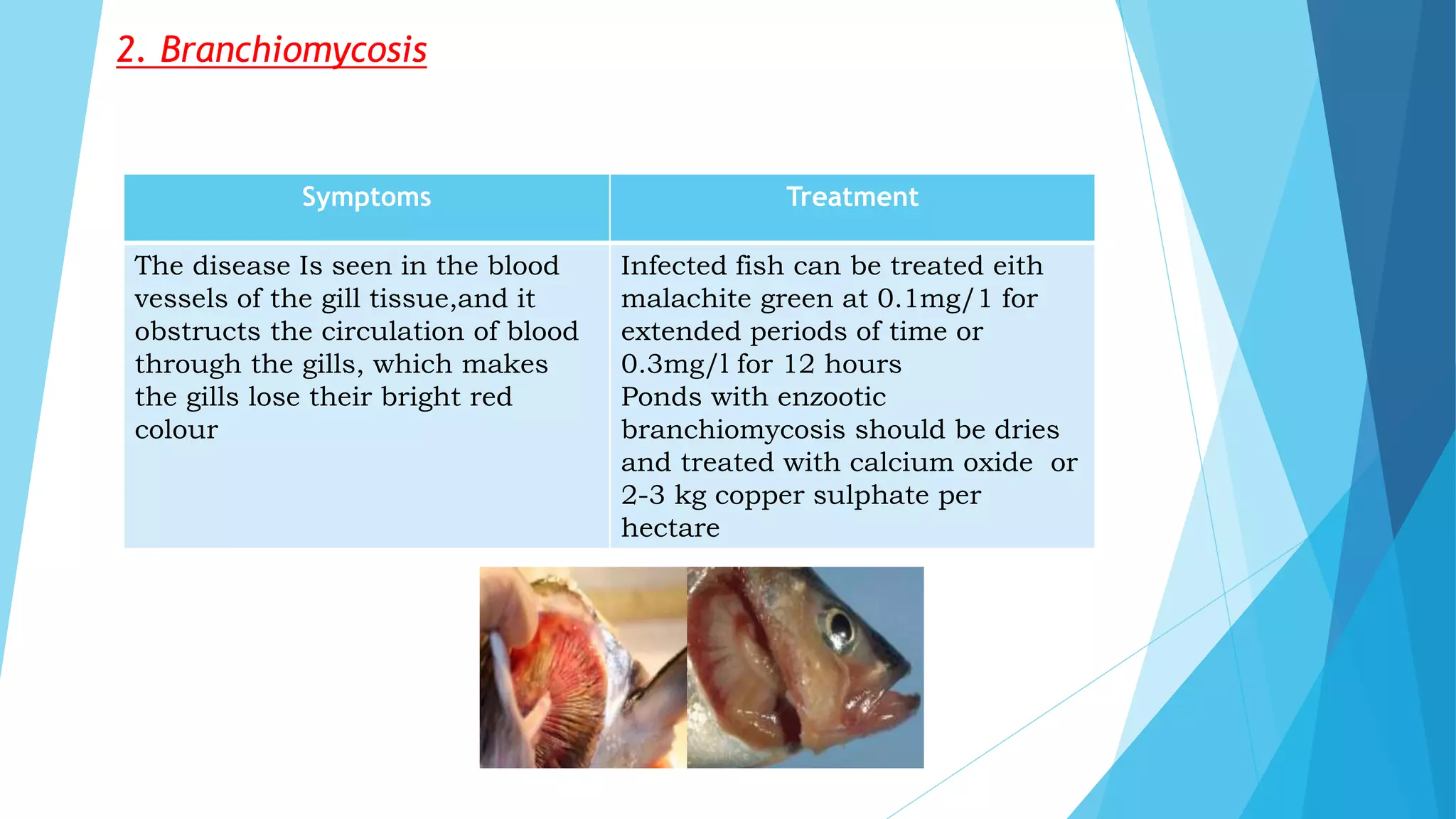 fish disease and treatment | PPTX