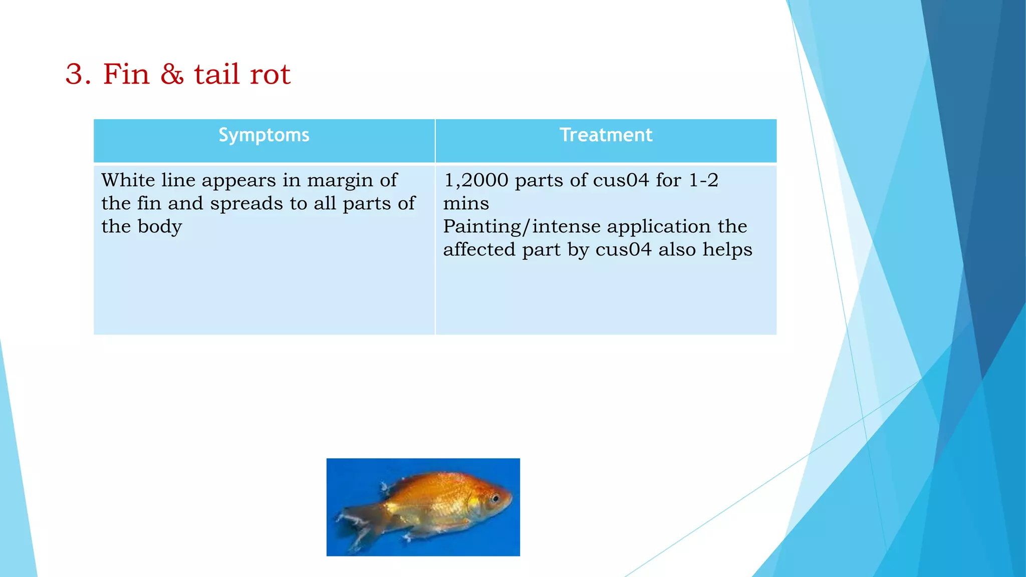 fish disease and treatment | PPTX