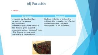 fish disease and treatment | PPTX