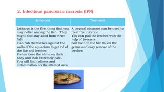 fish disease and treatment | PPTX