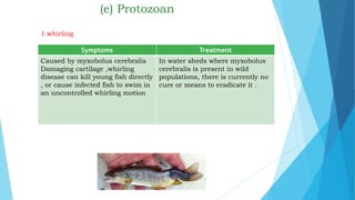fish disease and treatment | PPTX