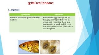 fish disease and treatment | PPTX