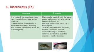 fish disease and treatment | PPTX