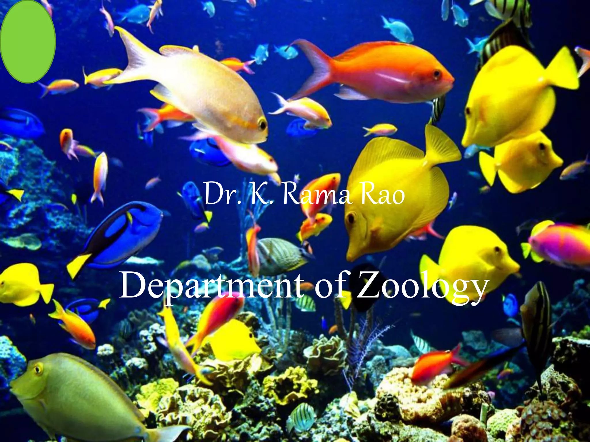 Fish Diseases by Dr. K. Rama Rao | PPT